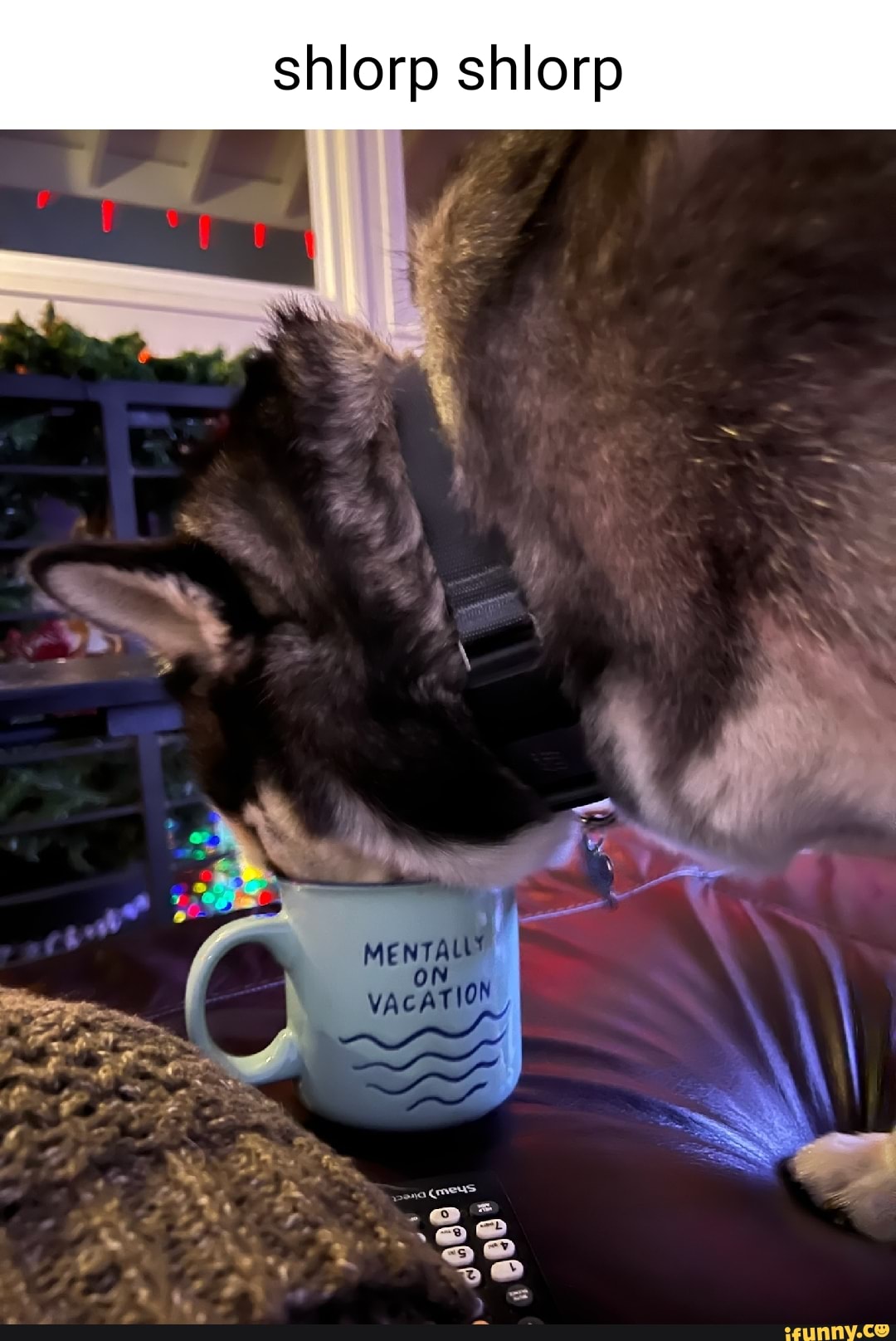 Shlorp memes. Best Collection of funny Shlorp pictures on iFunny