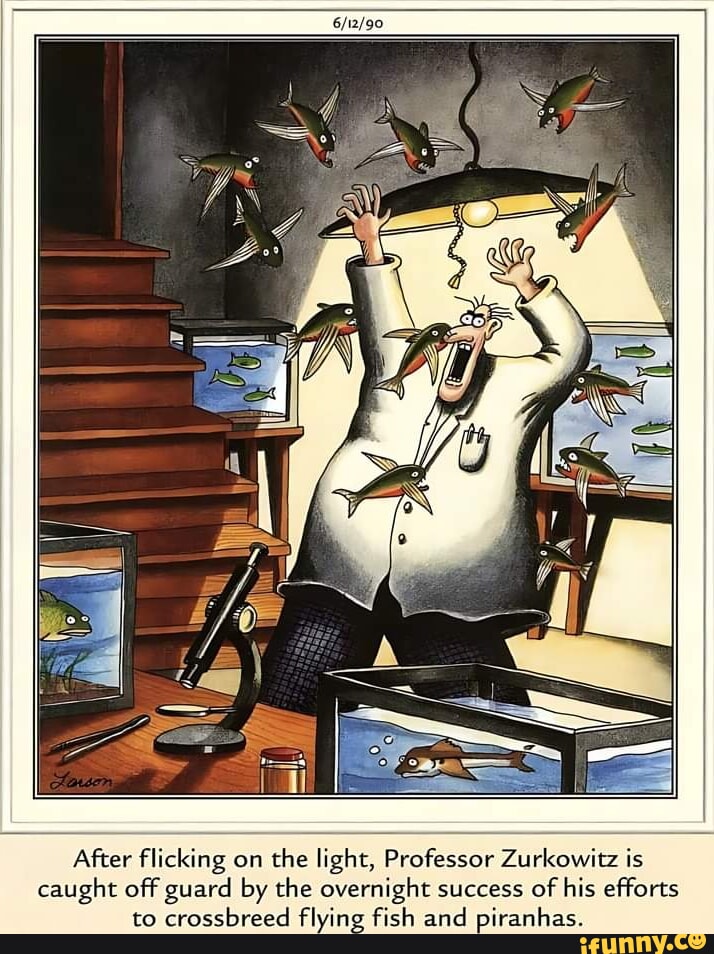 Crossbreed memes. Best Collection of funny Crossbreed pictures on iFunny