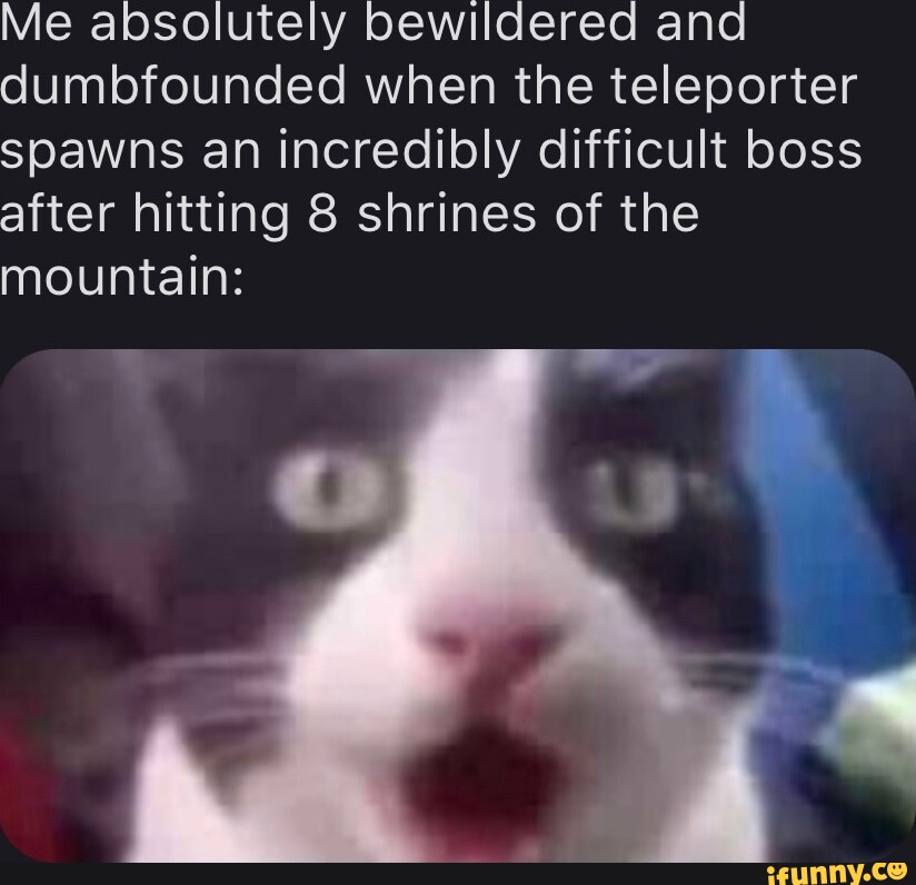 Me absolutely bewildered and dumbfounded when the teleporter Spawns an ...