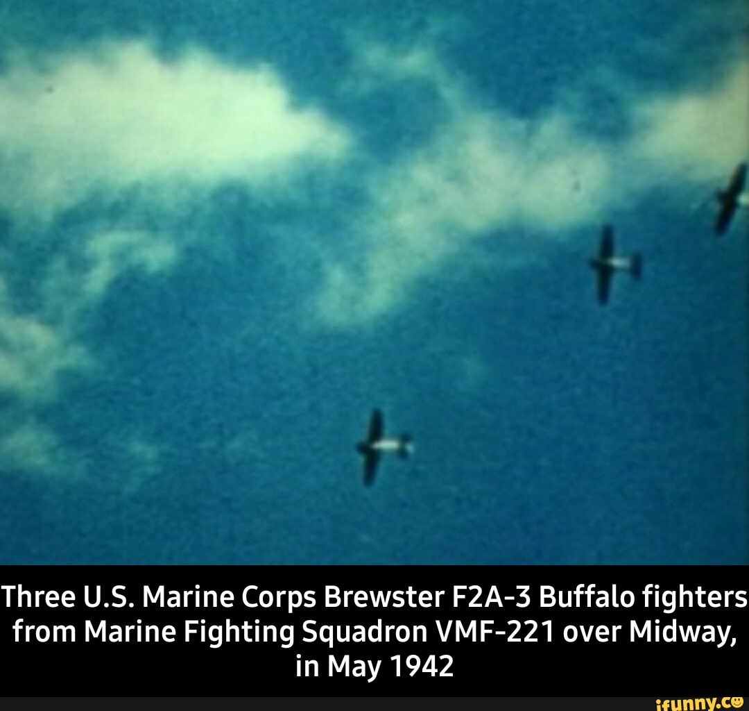 Three U.S. Marine Corps Brewster F2A-3 Buffalo fighters from Marine ...