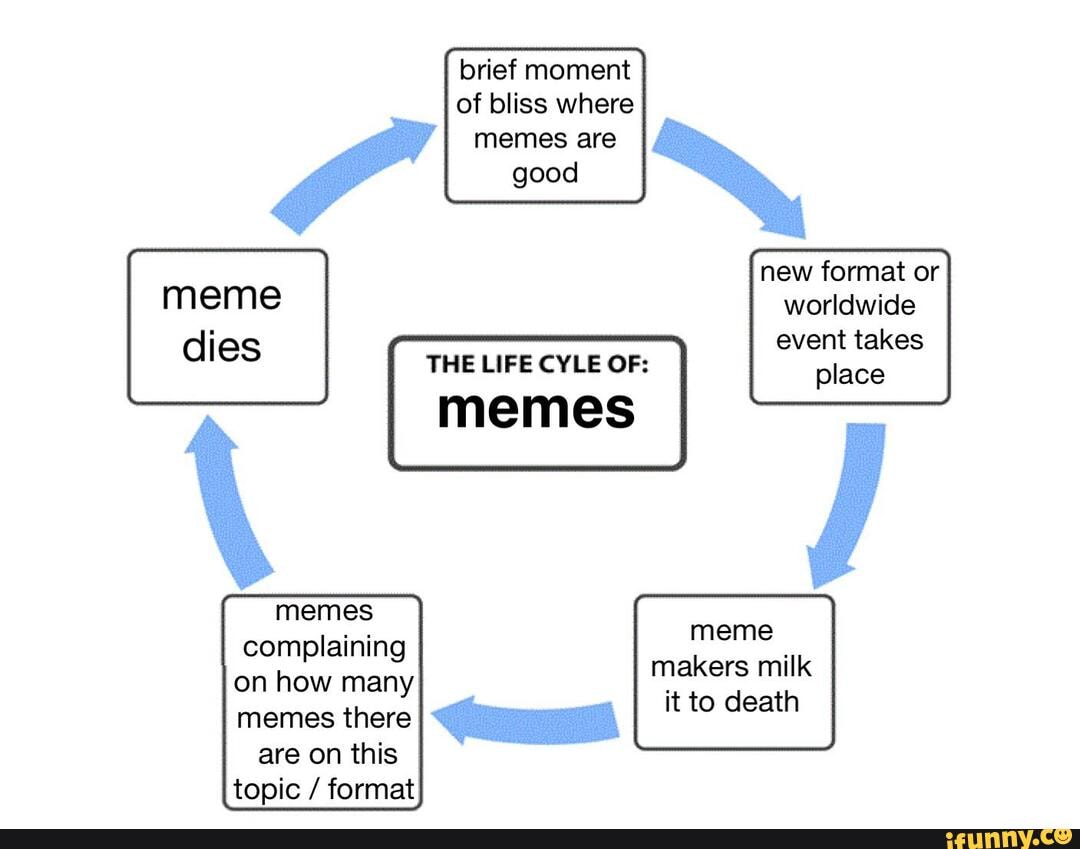 Brief moment of bliss where memes are good new format or meme worldwide ...