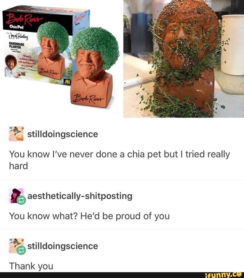 Stilldoingscience I You know I've never done a chia pet but I tried ...