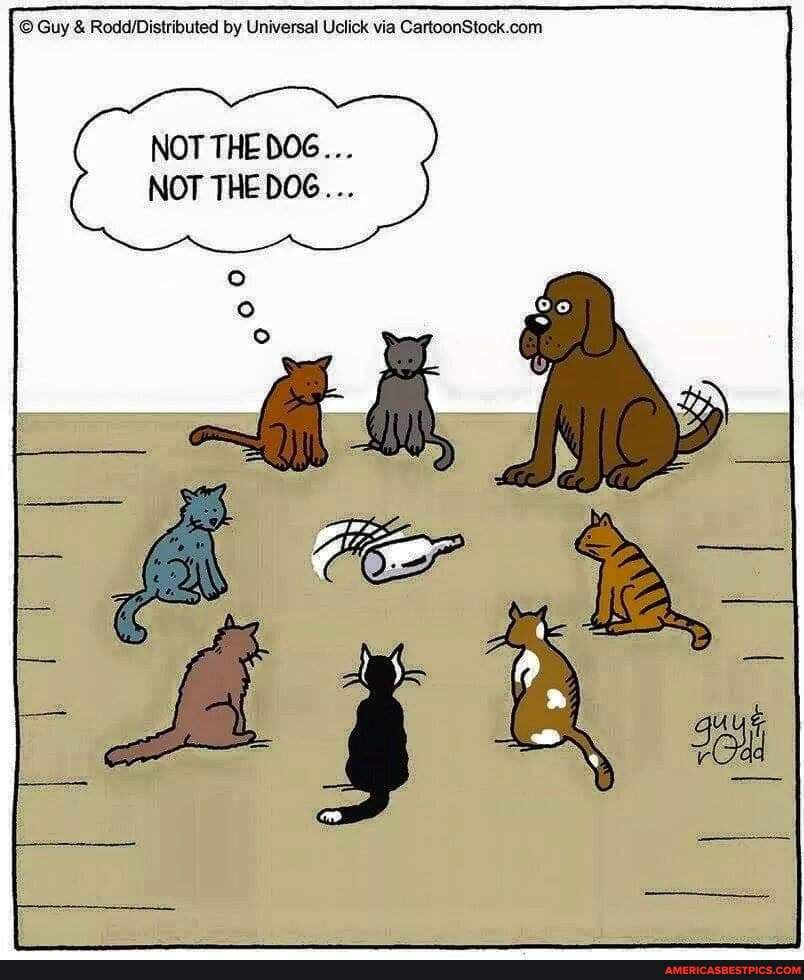 Guy & by Universal Uclick via NOT THE DOG... NOT THE DOG... - America’s best pics and videos