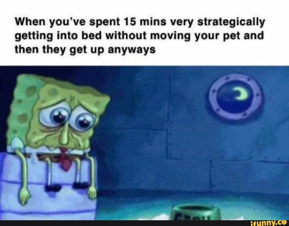 When you've spent 15 mins very strategically getting into bed without ...