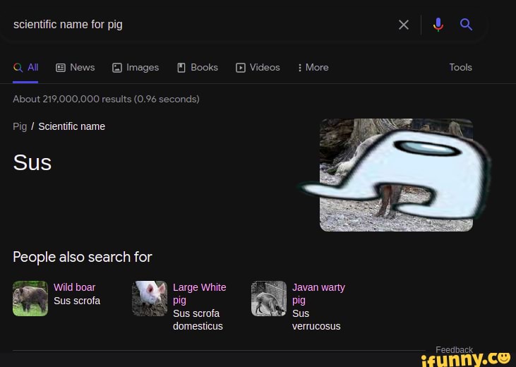 Scrofa memes. Best Collection of funny Scrofa pictures on iFunny