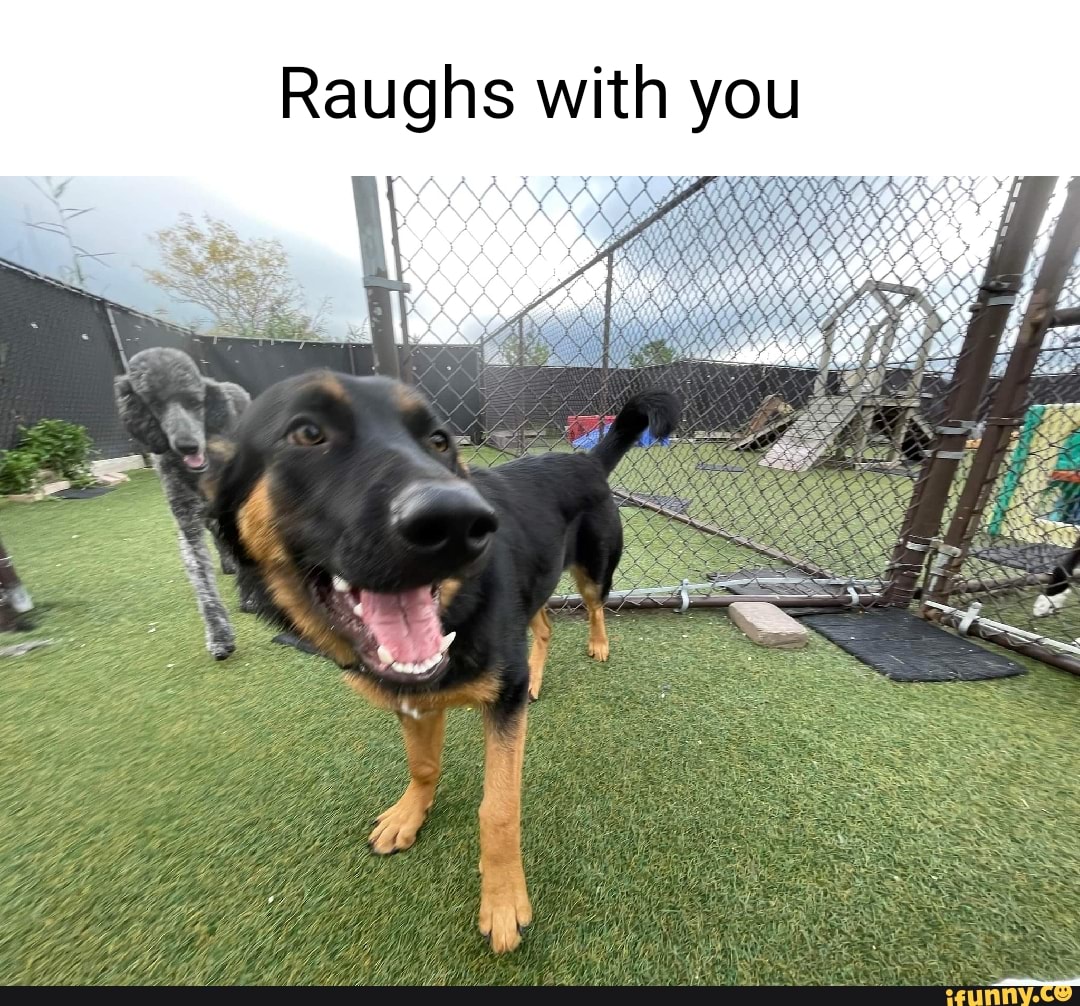 Raughs memes. Best Collection of funny Raughs pictures on iFunny