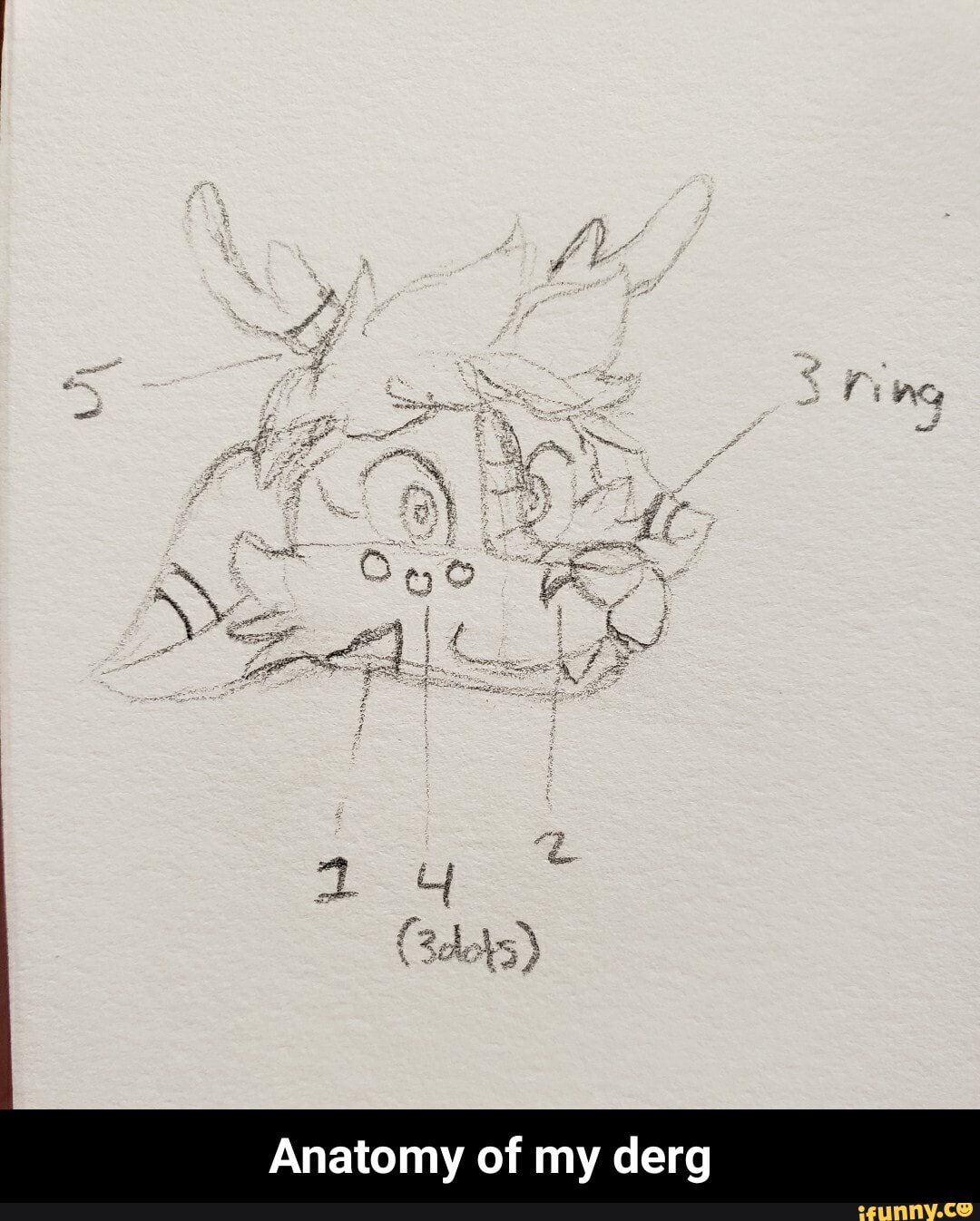 Anatomy of my derg - Anatomy of my derg - iFunny