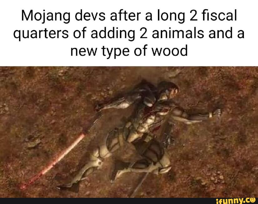 Mojang devs after a long 2 fiscal quarters of adding 2 animals and a ...