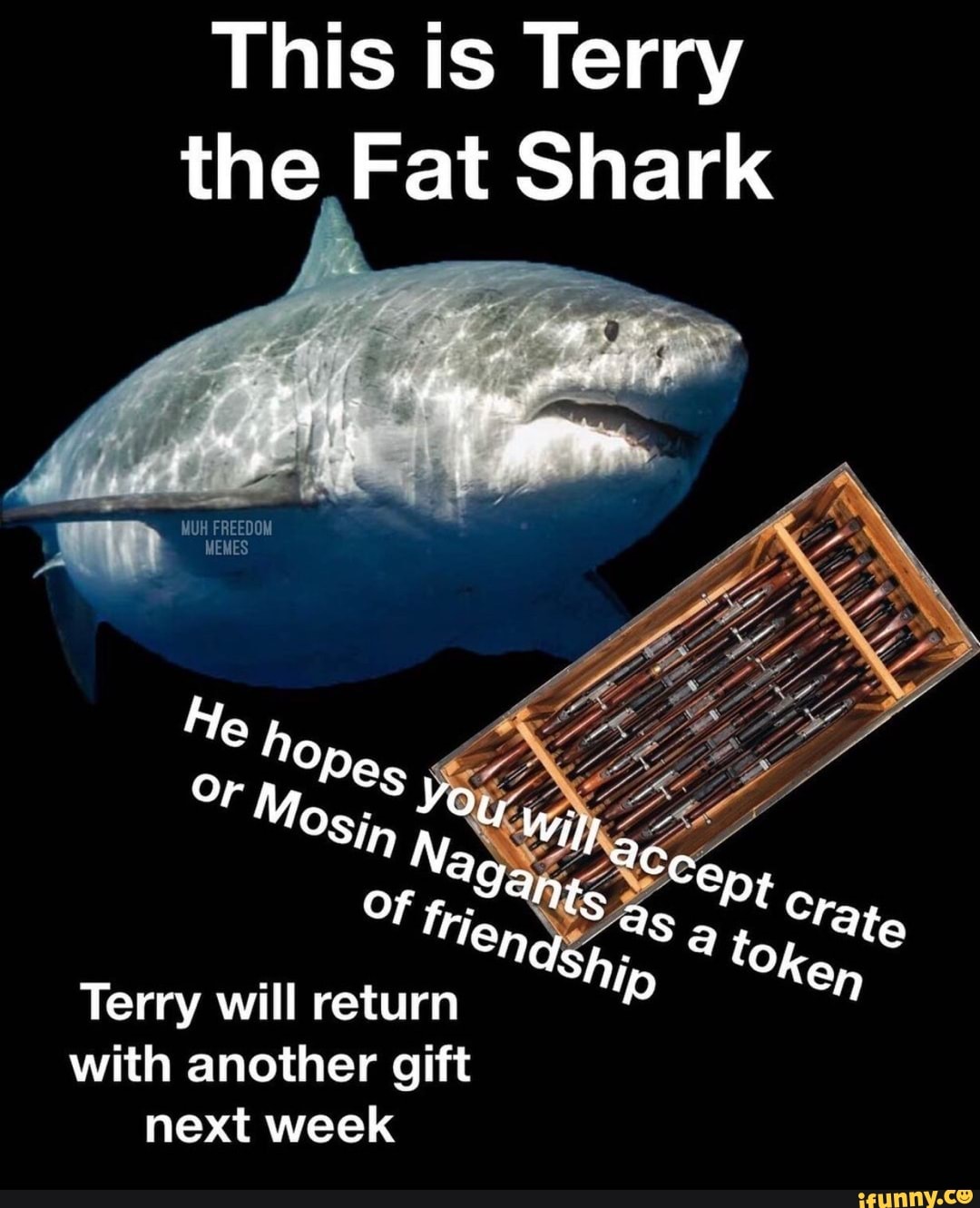 This is Terry the Fat Shark MEMES Terry will return with another gift ...