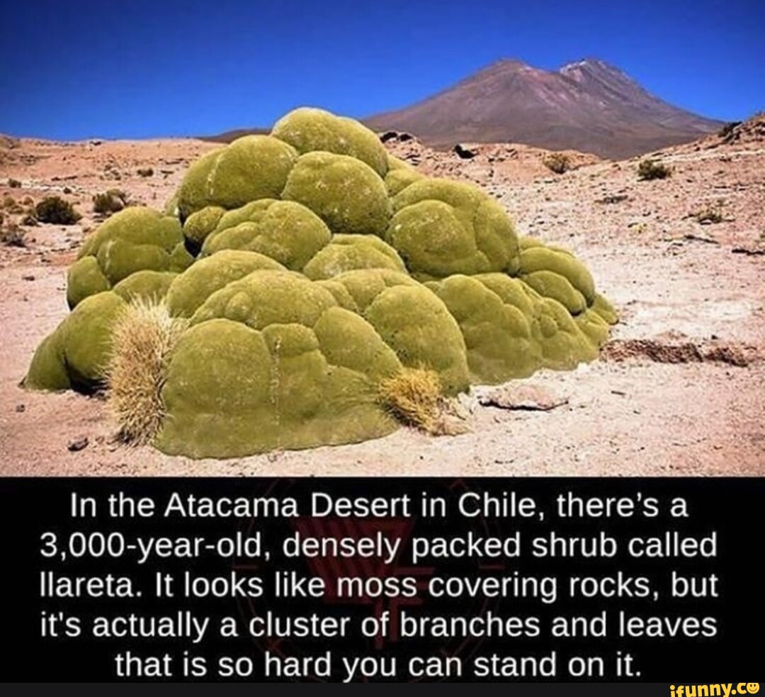 Cluster memes. Best Collection of funny Cluster pictures on iFunny