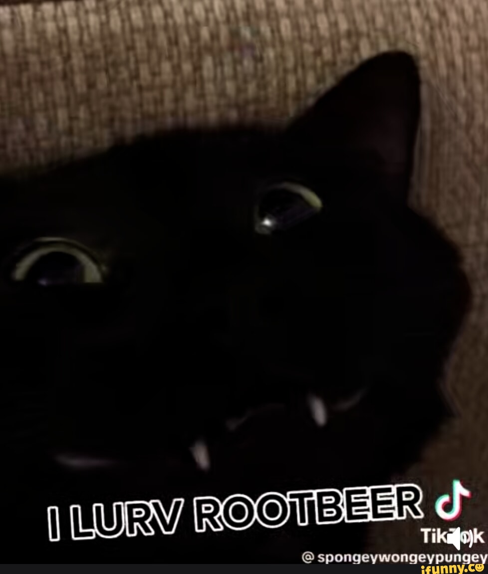 Roobeer memes. Best Collection of funny Roobeer pictures on iFunny