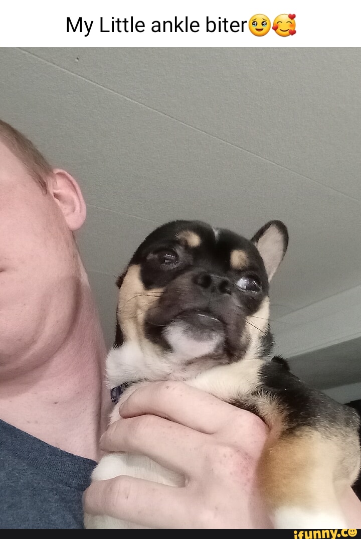 Ankle memes. Best Collection of funny Ankle pictures on iFunny