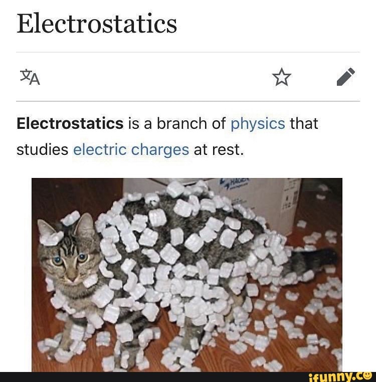 Video memes CatGqZR59 by Phoenixmemes420: 301 comments - )