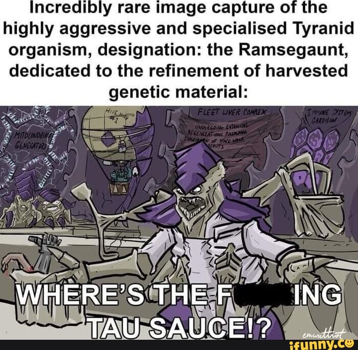 Refinement memes. Best Collection of funny Refinement pictures on iFunny