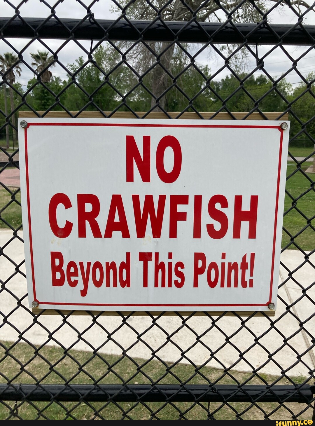 Crawfish memes. Best Collection of funny Crawfish pictures on iFunny