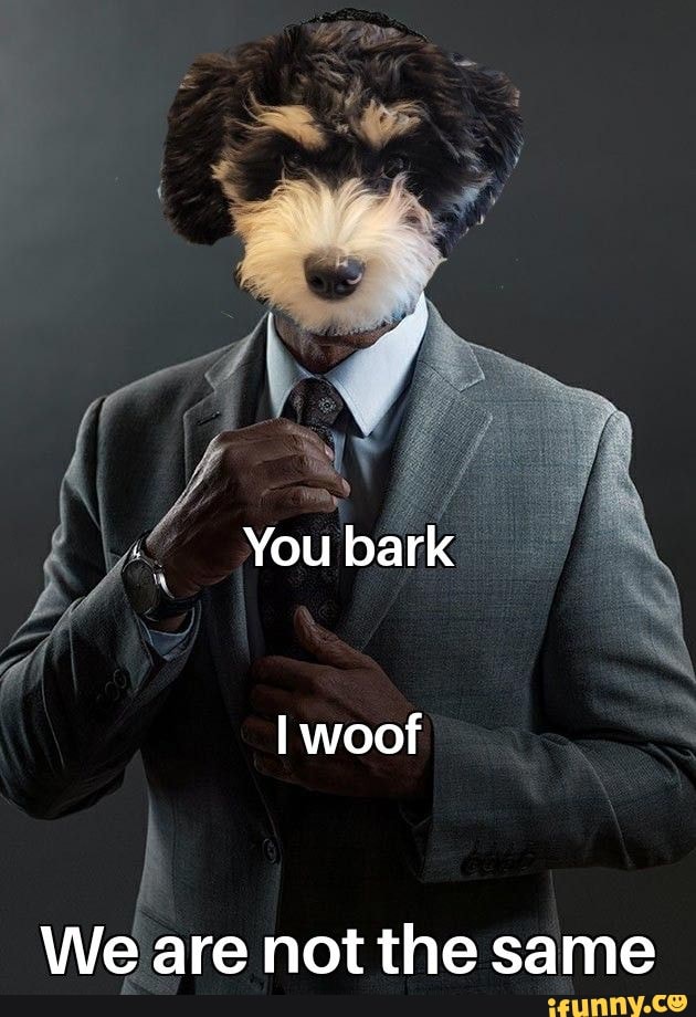 Bernedoodle memes. Best Collection of funny Bernedoodle pictures on iFunny