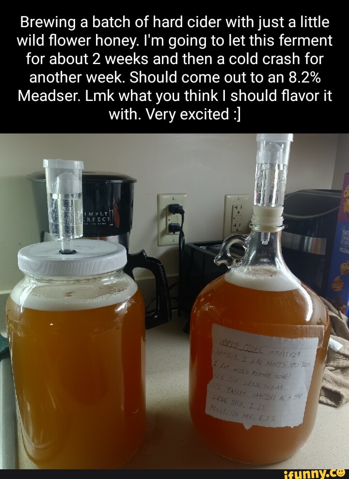 Cider memes. Best Collection of funny Cider pictures on iFunny