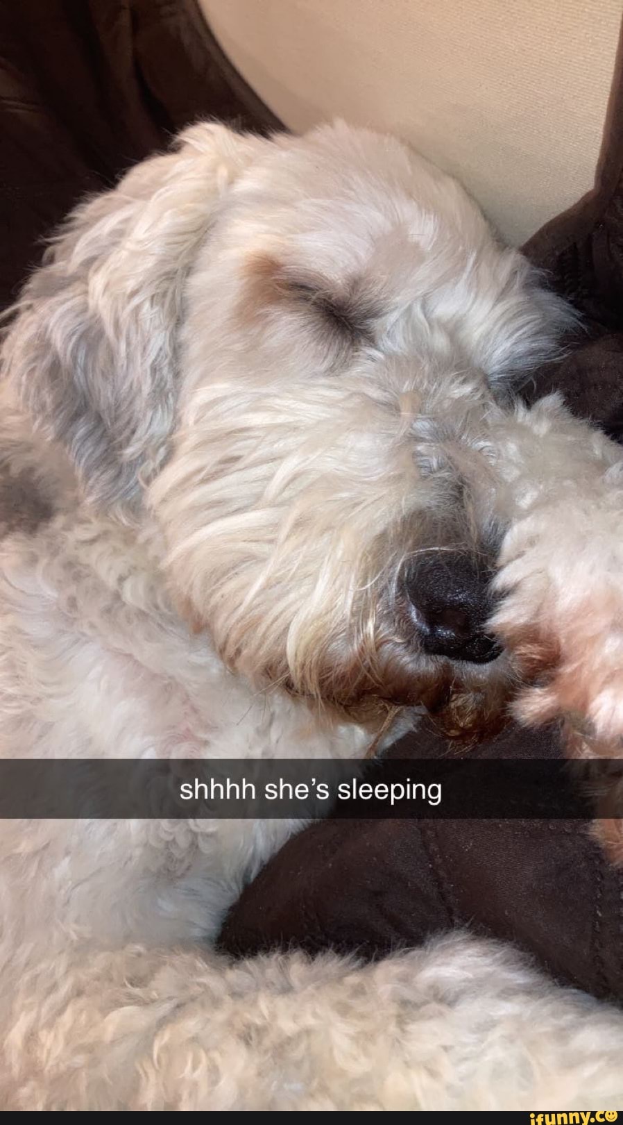 Shhhh she's sleeping - iFunny