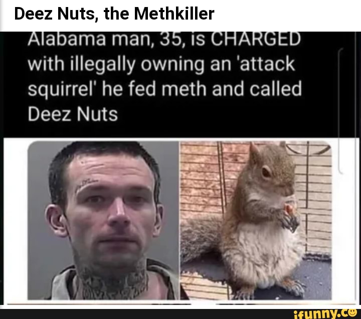 Deez Nuts, the Methkiller Alabama man, 35, is CHARGED with illegally ...