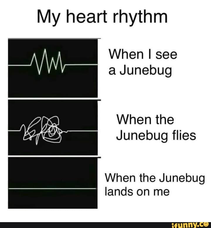 My heart rhythm When see a Junebug When the Junebug flies When the ...