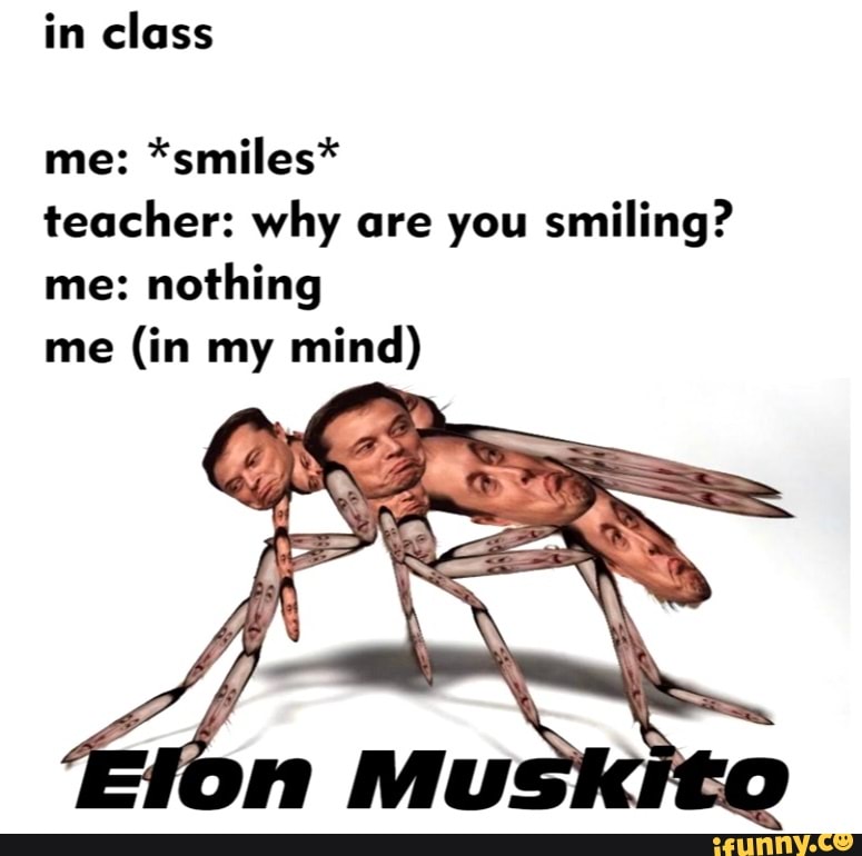 In class teacher: why are you smiling? - iFunny