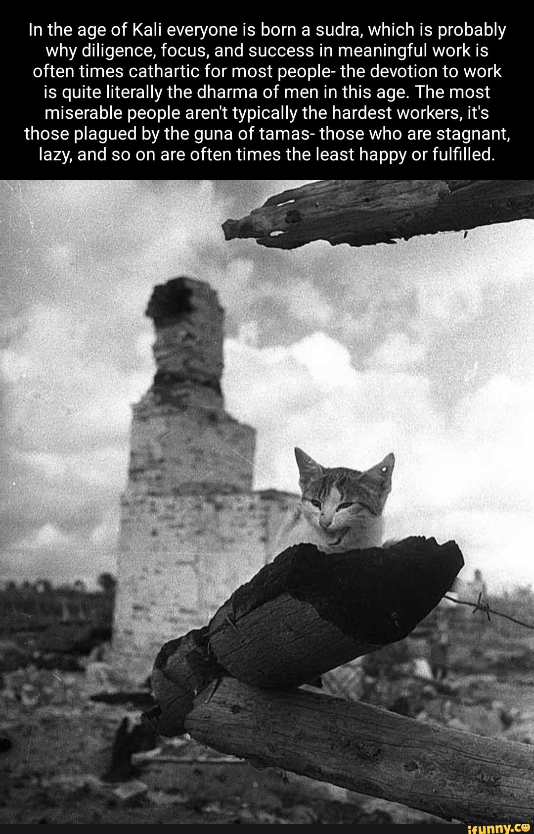 Diligence memes. Best Collection of funny Diligence pictures on iFunny