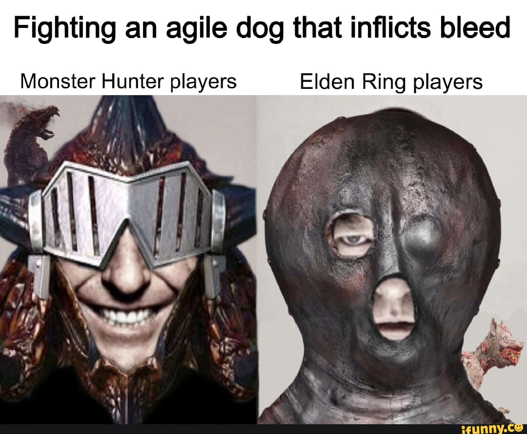 Fighting an agile dog that inflicts bleed Monster Hunter players Elden ...