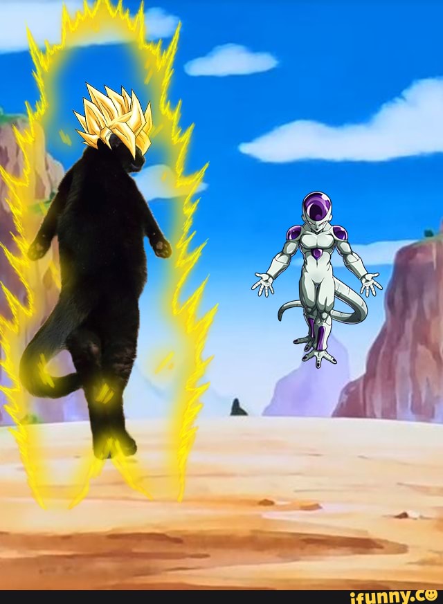 Super_saiyan memes. Best Collection of funny Super_saiyan pictures on ...