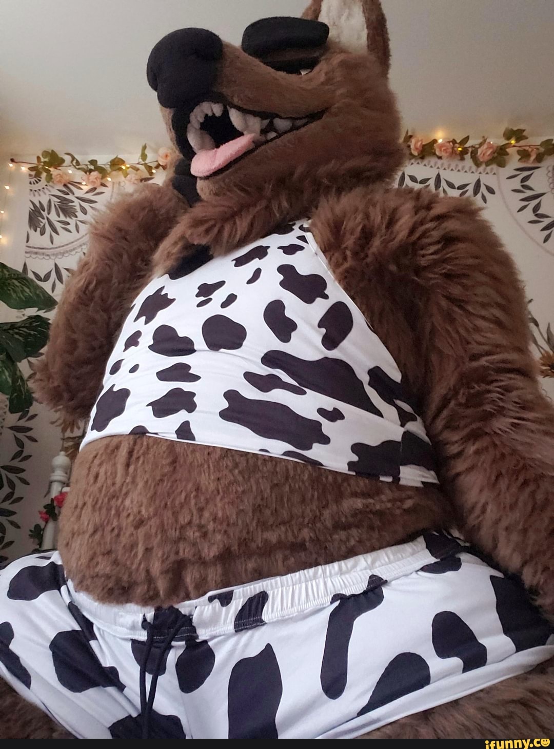 Softsuit memes. Best Collection of funny Softsuit pictures on iFunny