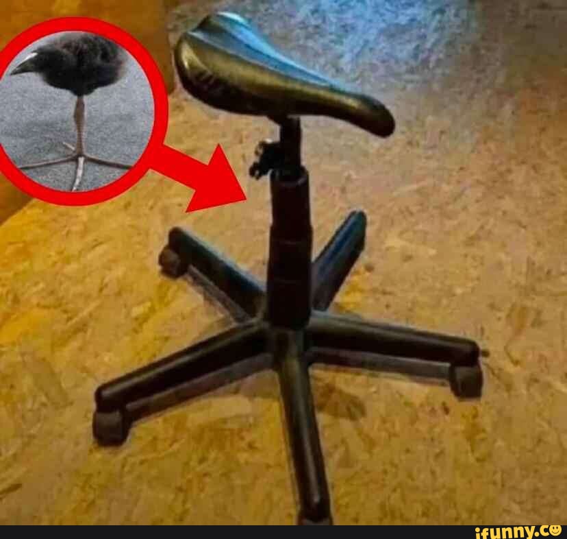 Pukeko memes. Best Collection of funny Pukeko pictures on iFunny