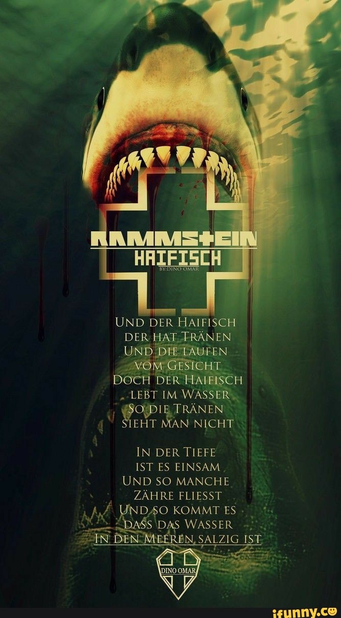 UND DER HAIFISCH DER HAT FRÂNEN UND DIE LAUFEN "NOM GESICHT I HAIFISCH ...