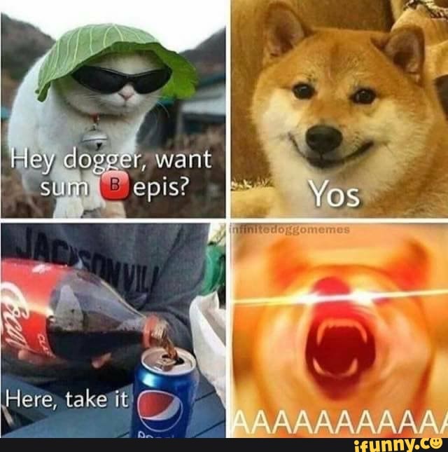 Aaaaaaaaal memes. Best Collection of funny Aaaaaaaaal pictures on iFunny