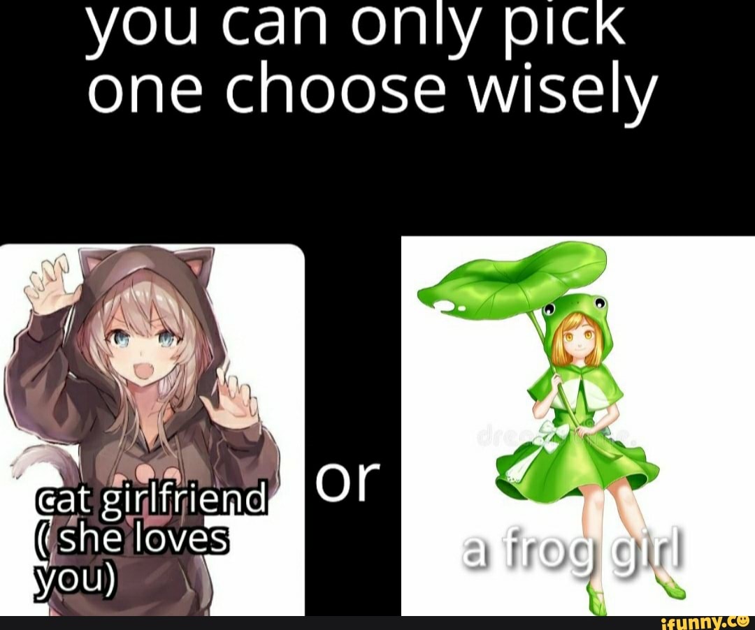 You Can only picK one choose wisely Seat girltriend - iFunny