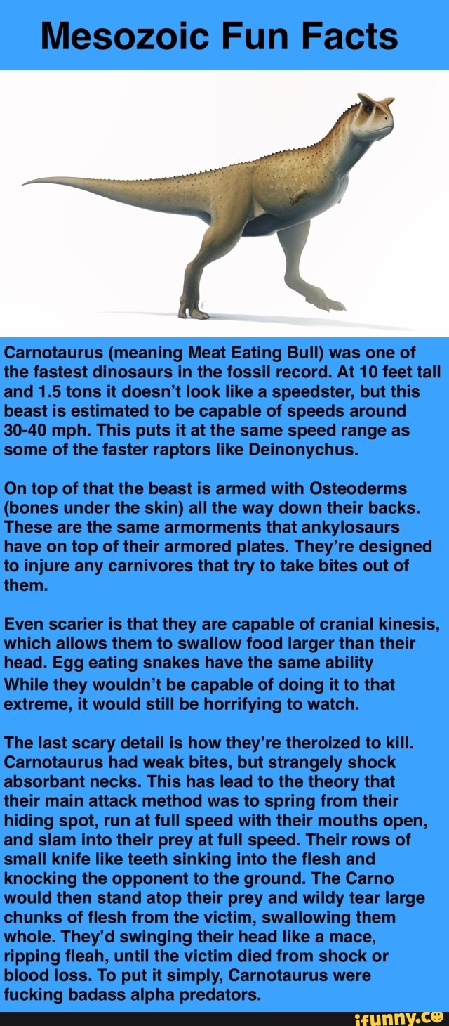 Mesozoic Fun Facts Carnotaurus (meaning Meat Eating Bull) was one of ...