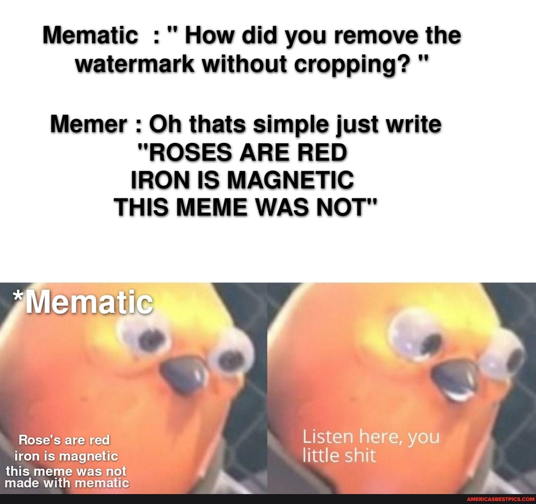 Mematic How did you remove the watermark without cropping? " Memer : Oh ...