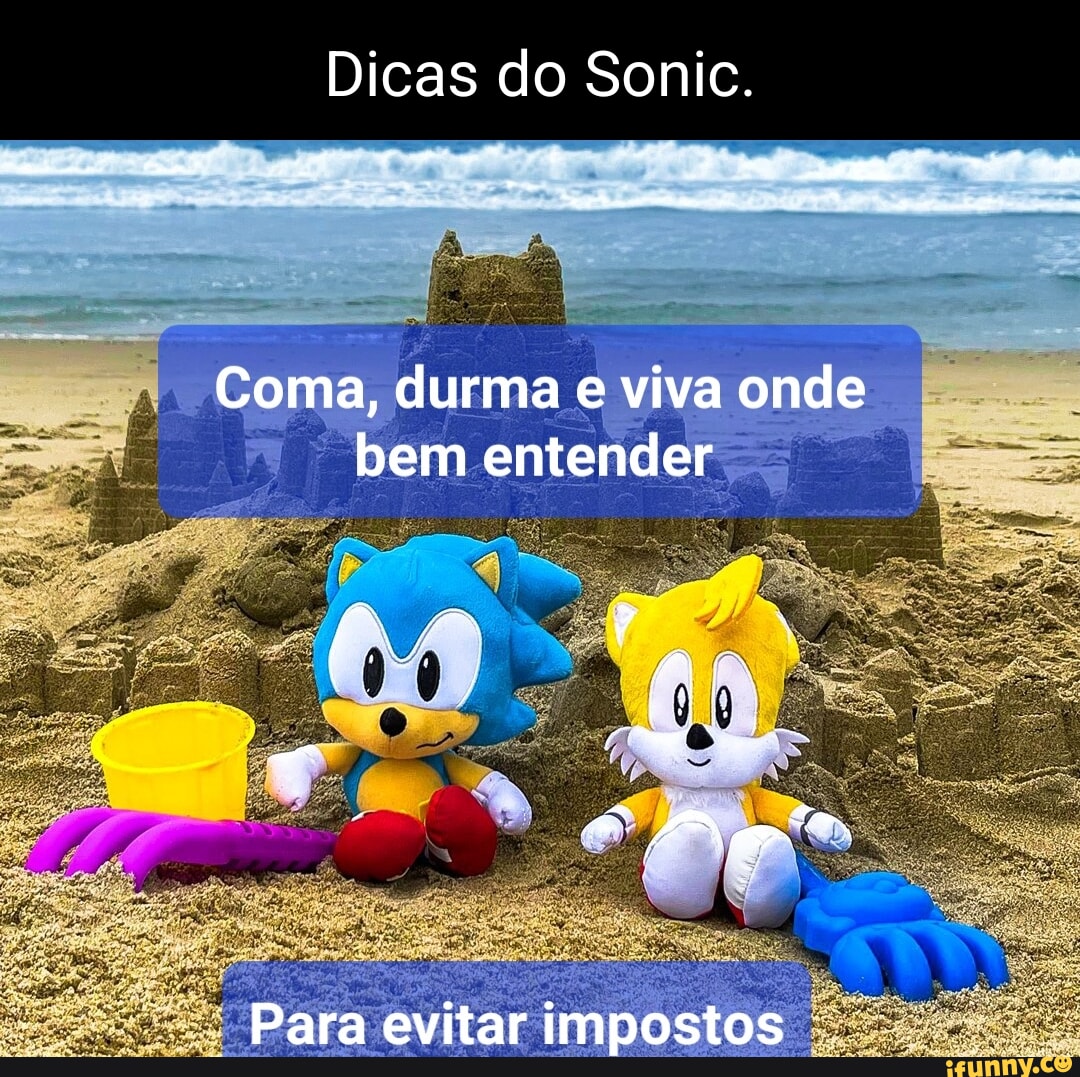 Dicas do Sonic. Coma, durma e viva onde bem entender Para evitar ...