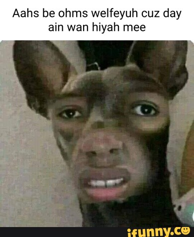 Hiyah memes. Best Collection of funny Hiyah pictures on iFunny