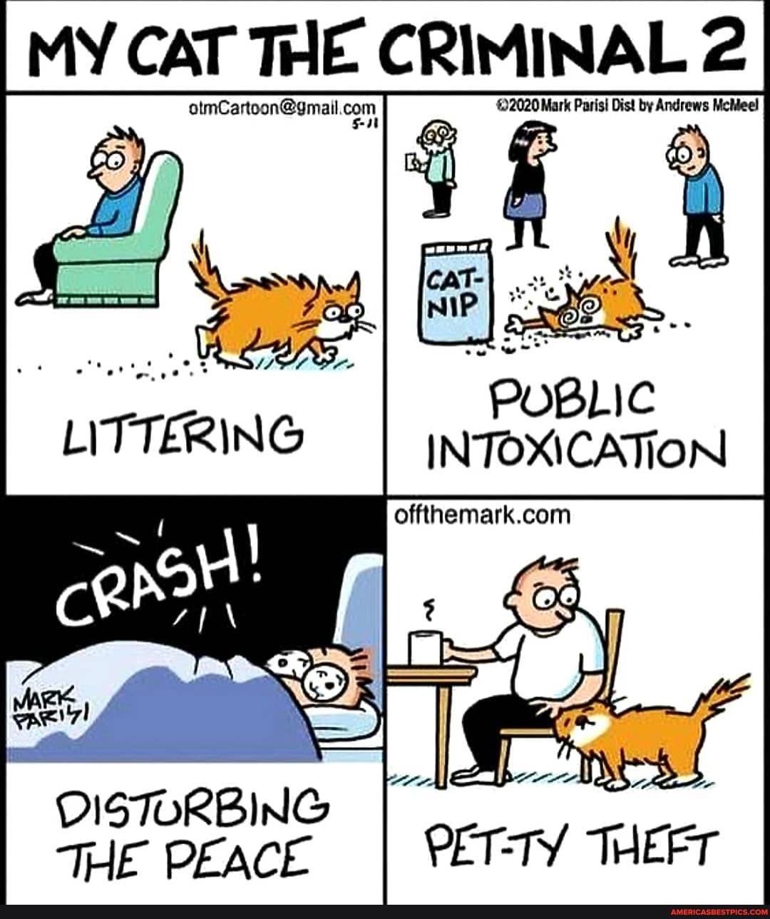 MY CAT THE CRIMINAL SUBLIC INTOXICATION OISTORBING THE PEACE TY ...