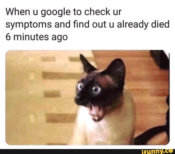 #google #memes #cat - When u google to check ur symptoms and find out u ...