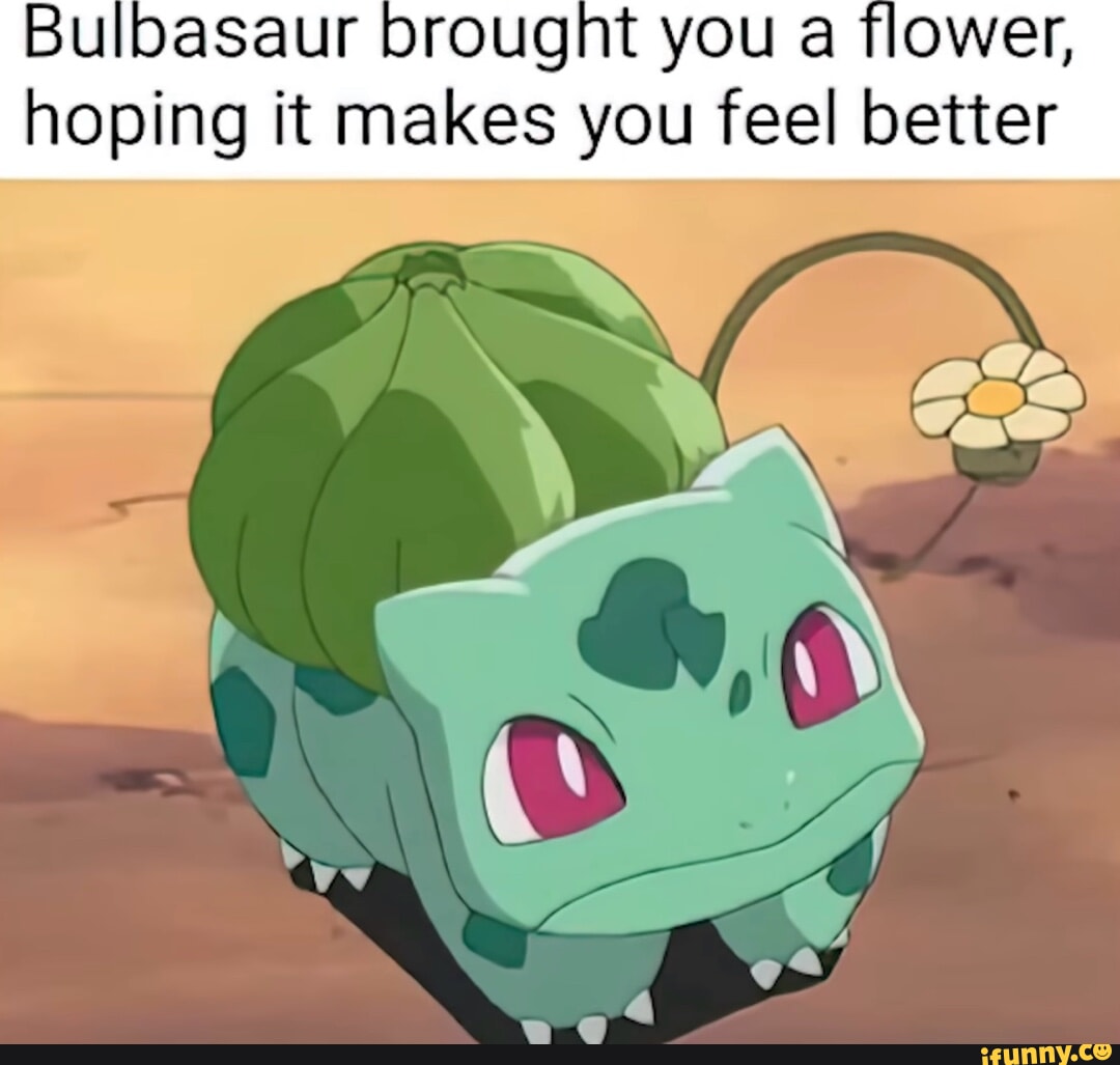Bulbasaur memes. Best Collection of funny Bulbasaur pictures on iFunny