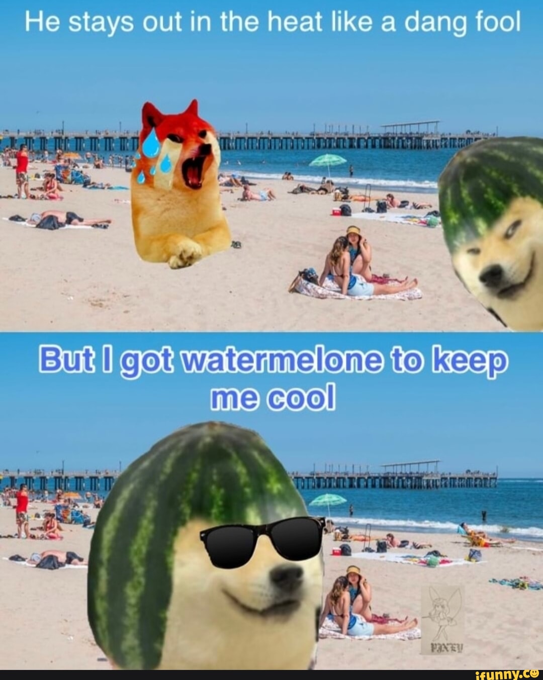 Watermelone memes. Best Collection of funny Watermelone pictures on iFunny