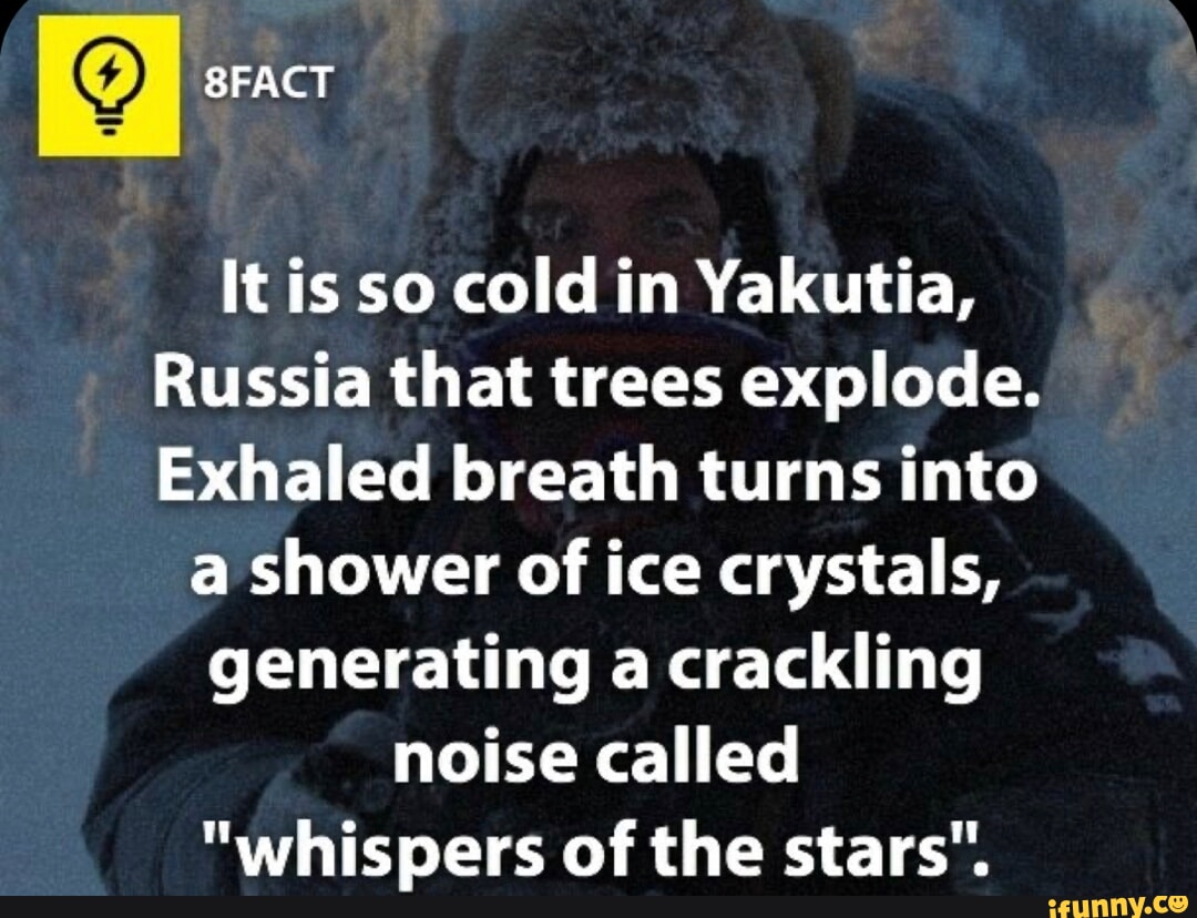 Picture memes UdvyQetyA by PLINIO_LINDAO8 - iFunny