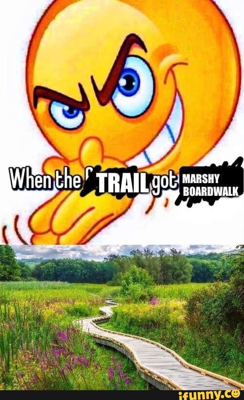 Boardwalk memes. Best Collection of funny Boardwalk pictures on iFunny