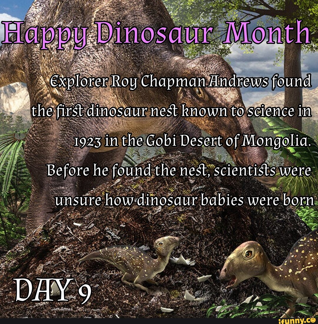 Gobi memes. Best Collection of funny Gobi pictures on iFunny