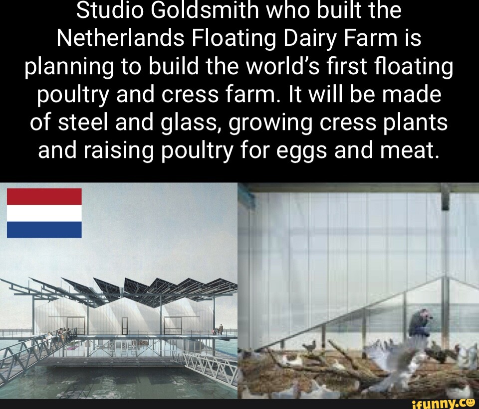 Studio Goldsmith wno built the Netherlands Floating Dairy Farm is ...