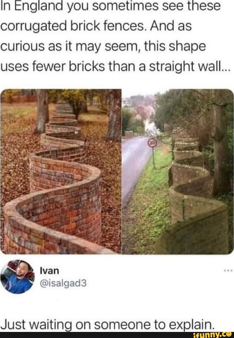 LIVE SNAKE REACTION - iFunny