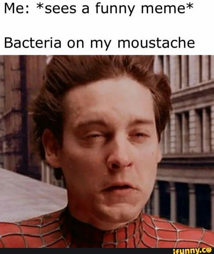 Me: *sees a funny meme* Bacteria on my moustache - iFunny