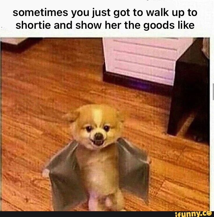 Shortie memes. Best Collection of funny Shortie pictures on iFunny