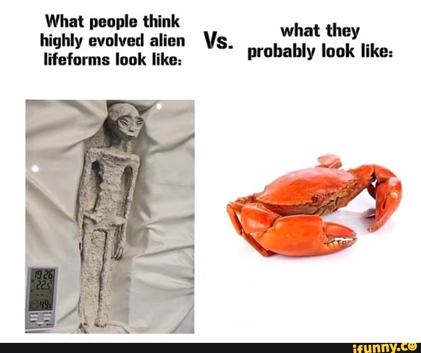 Lifeforms memes. Best Collection of funny Lifeforms pictures on iFunny