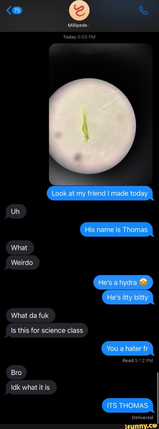 Millipede memes. Best Collection of funny Millipede pictures on iFunny